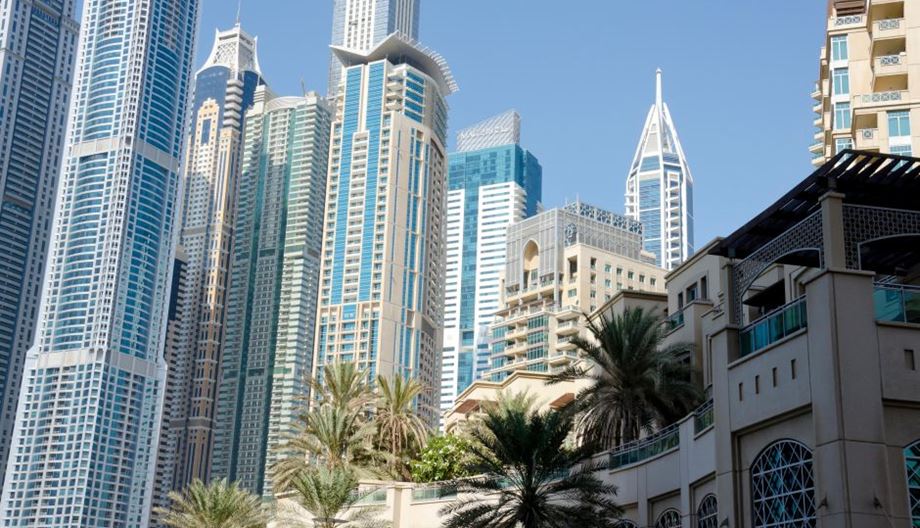 Las Olas Real Estate Professionals - South Florida MLS